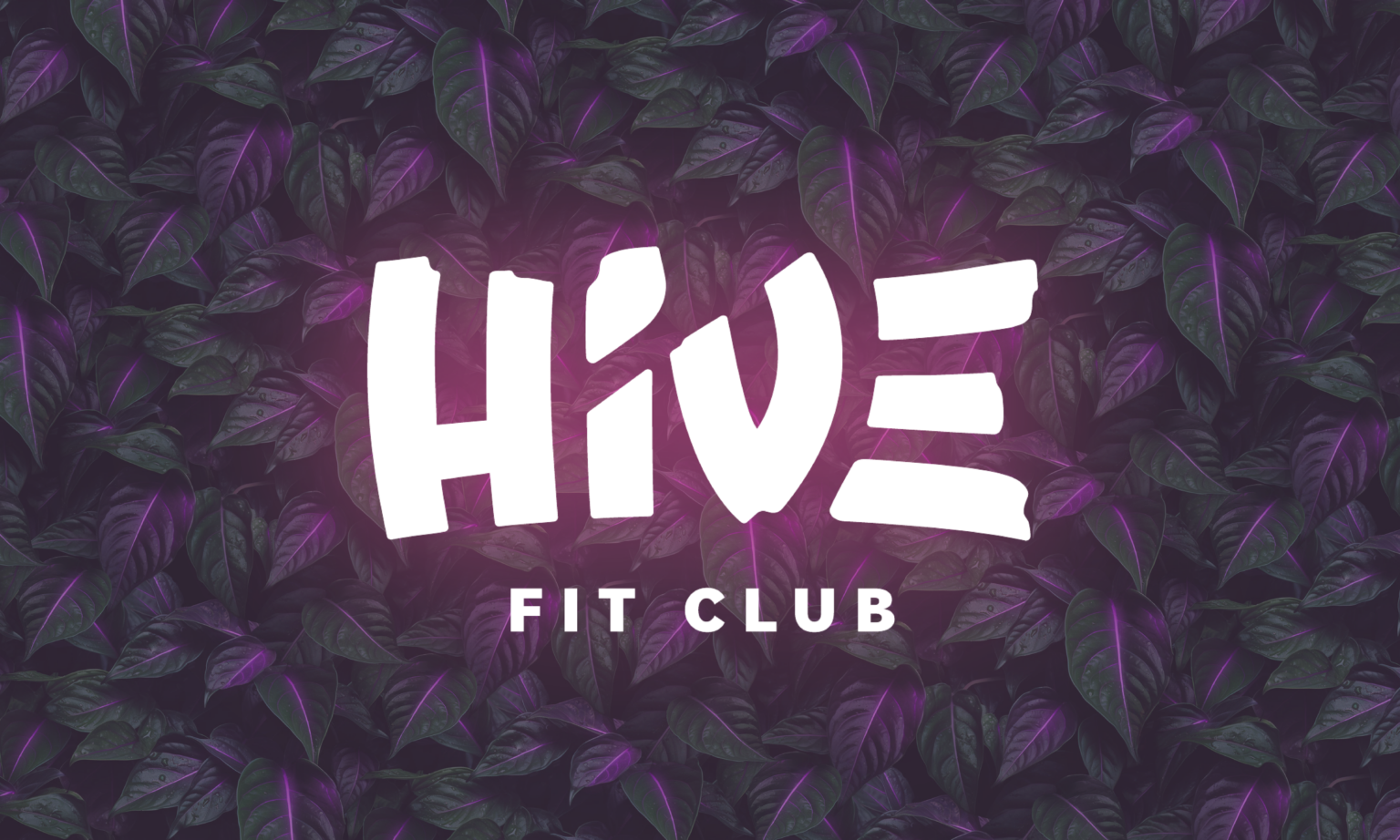 Hive Fit Club - The Good Kids