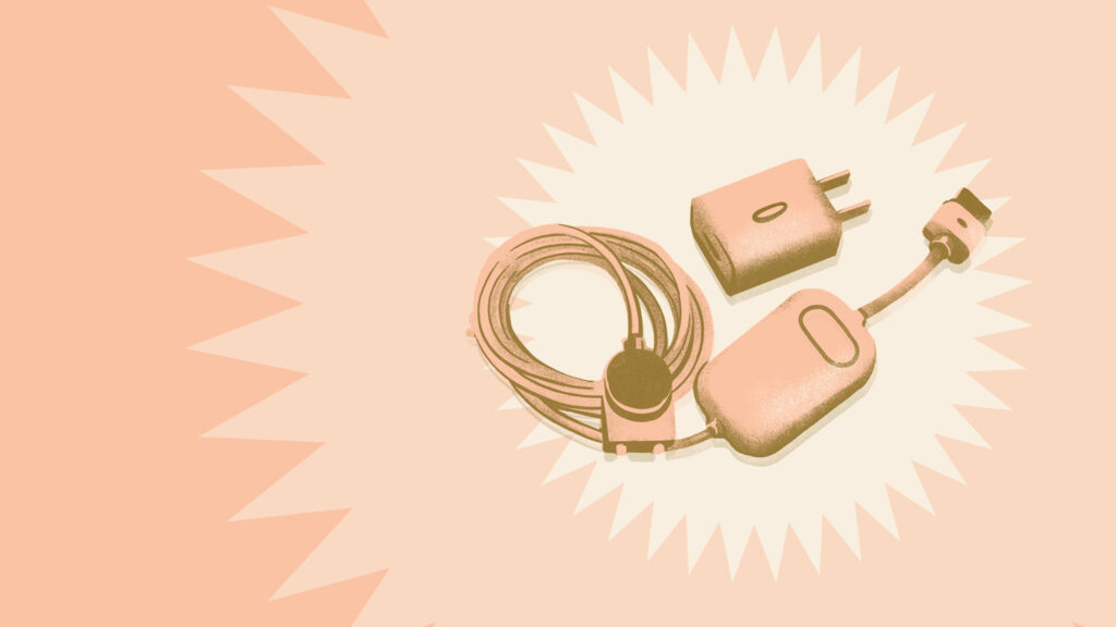 Snowbird Systems Inc. - The Good Kids